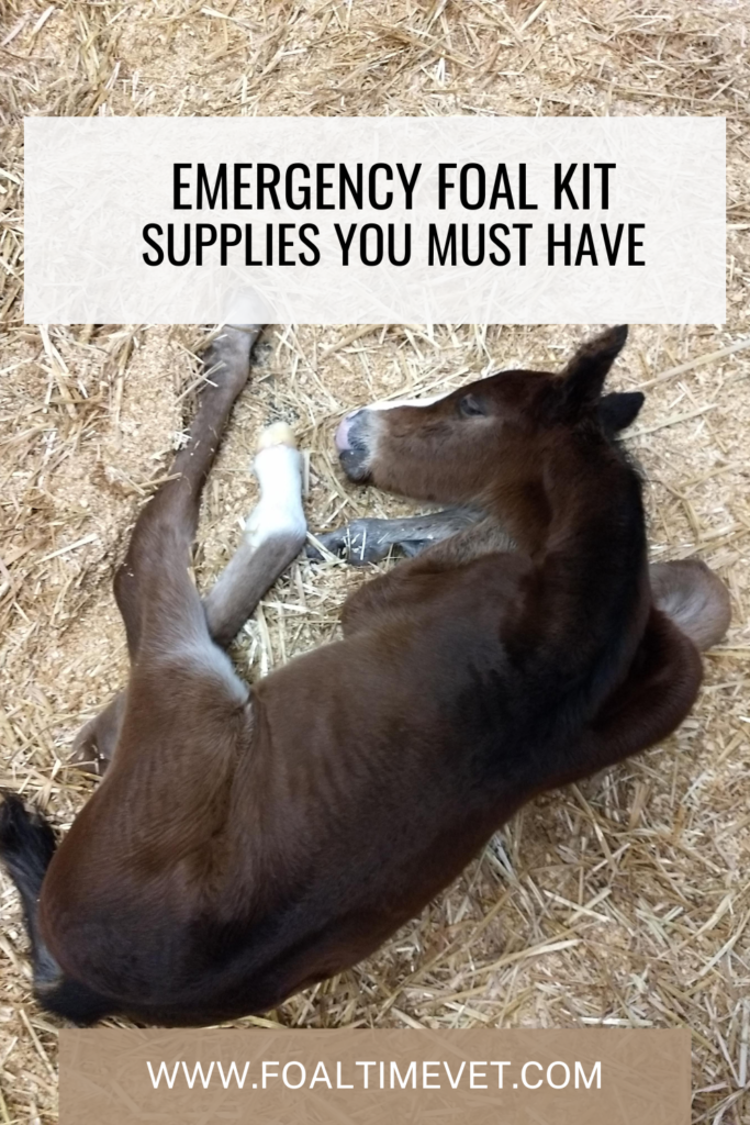 Emergency Foal Kit - FoalTimeVet